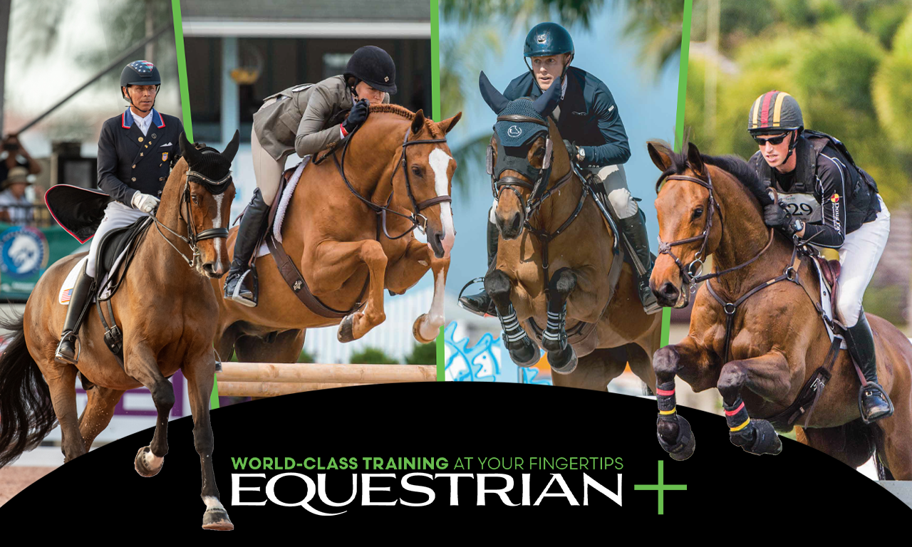 New EQUESTRIAN+ Video Platform Empowers Riders with World-Class ...